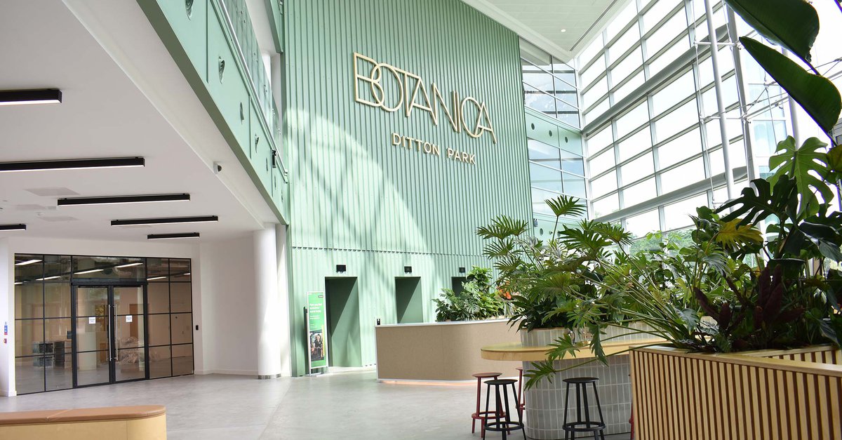 Link Spaces Botanica